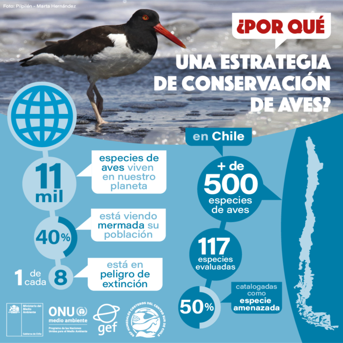 Ministerio del Medio Ambiente realiza lanzamiento de la Estrategia ...