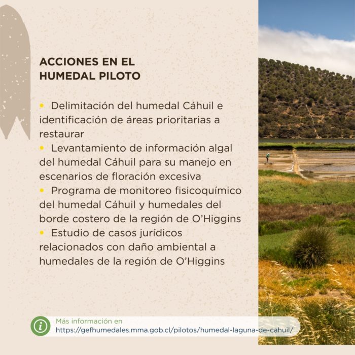 Estos son los principales avances del Proyecto GEF Humedales Costeros en sus dos años de ...